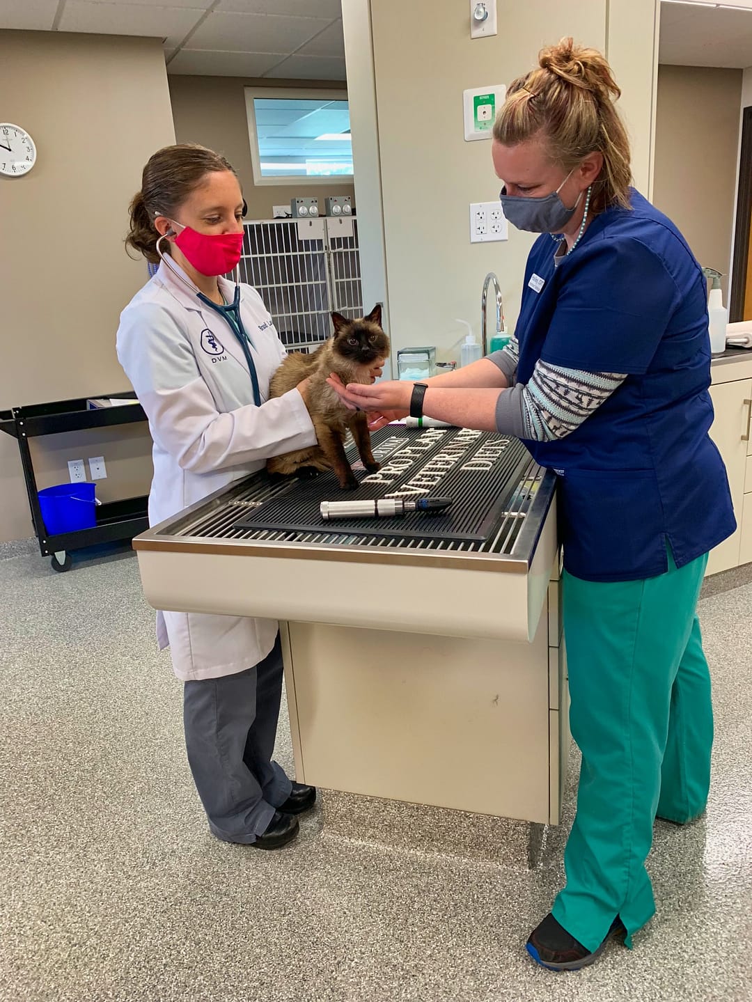 Clinic Picture Tour - Northern Veterinary Clinic